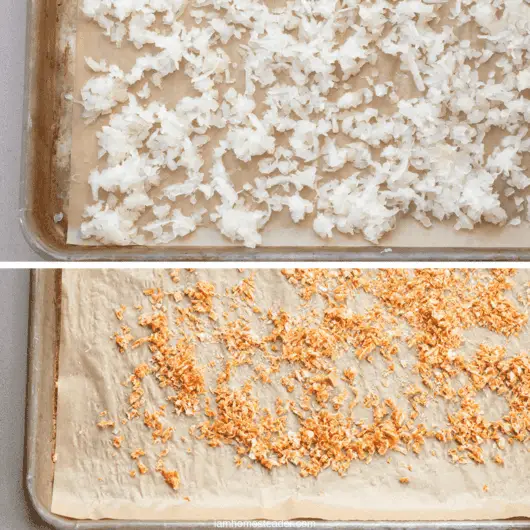 onion-powder-process-recipe - receipster